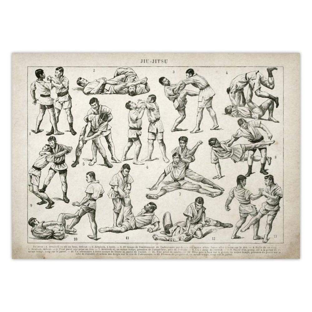 Buy Jiu Jitsu Boxing Wrestling Fencing Fighting Technique Chart Vintage ...