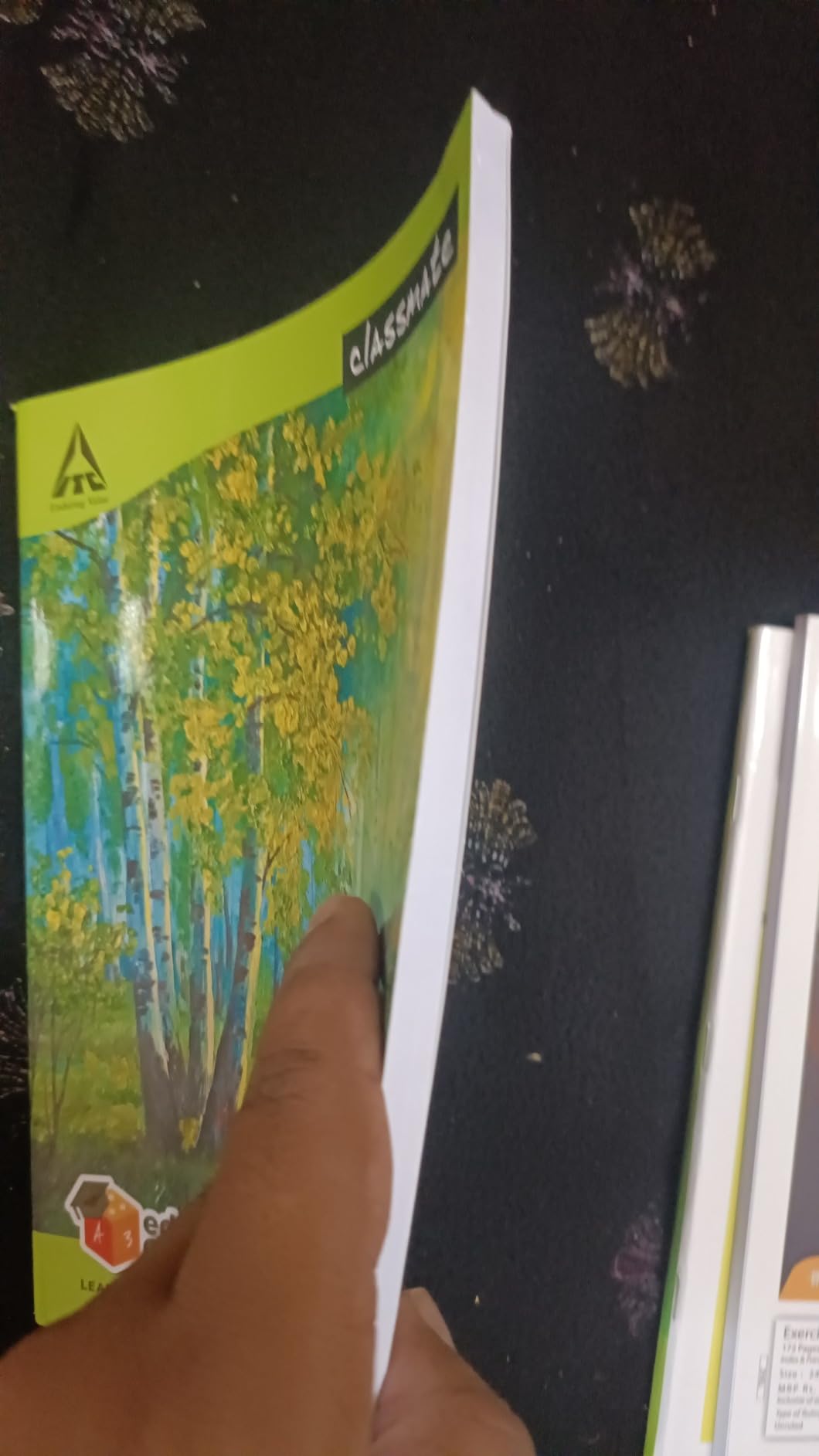 Classmate Notebook - Unruled, 172 Pages, 240 mm x 180 mm - Pack Of 4 ...