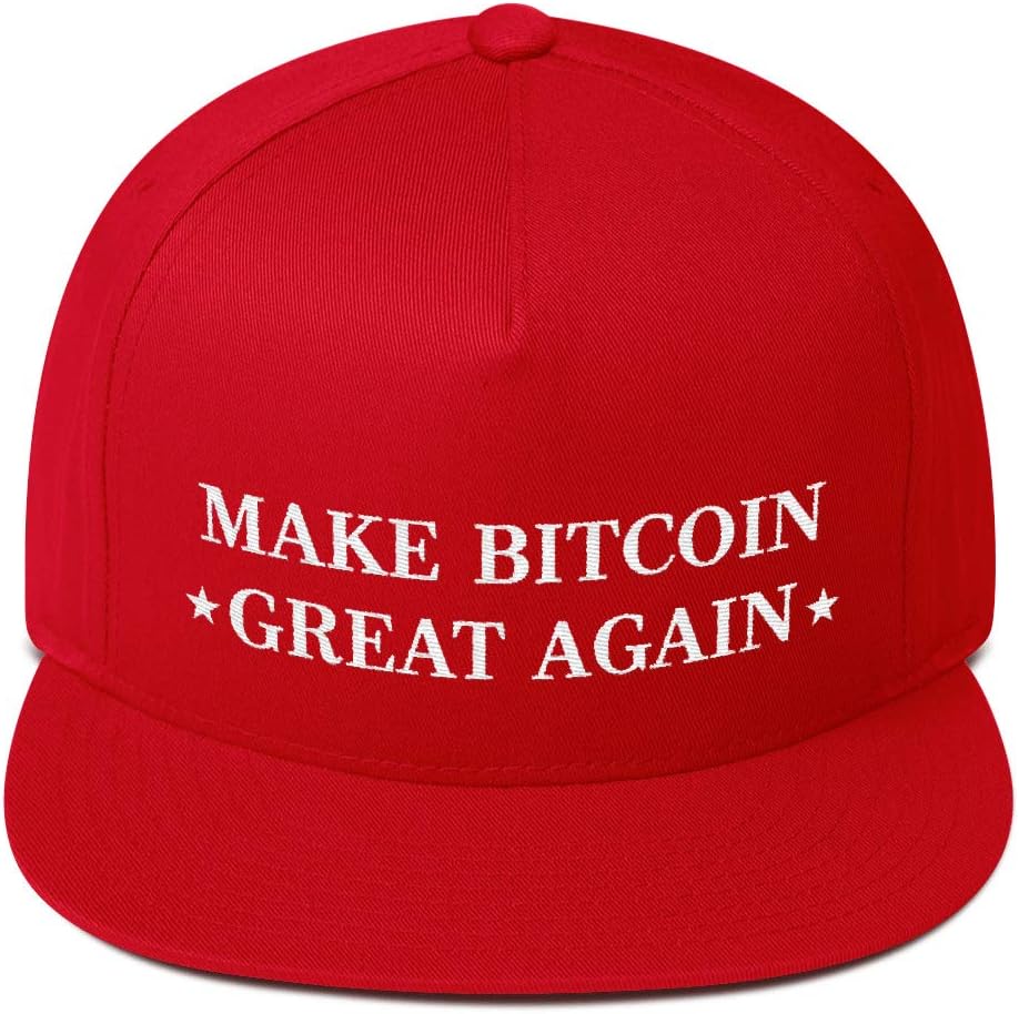Hogue WS LLC Make Bitcoin Great Again Hat (Flat Bill) Red at Amazon Men ...