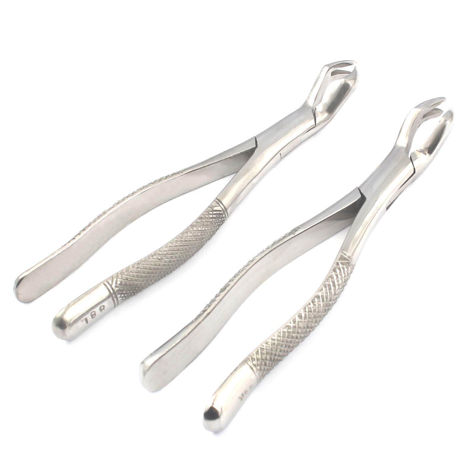 Amazon.com: DDP Set of 2 Root Extracting Forceps # 88L & 88R Extraction ...