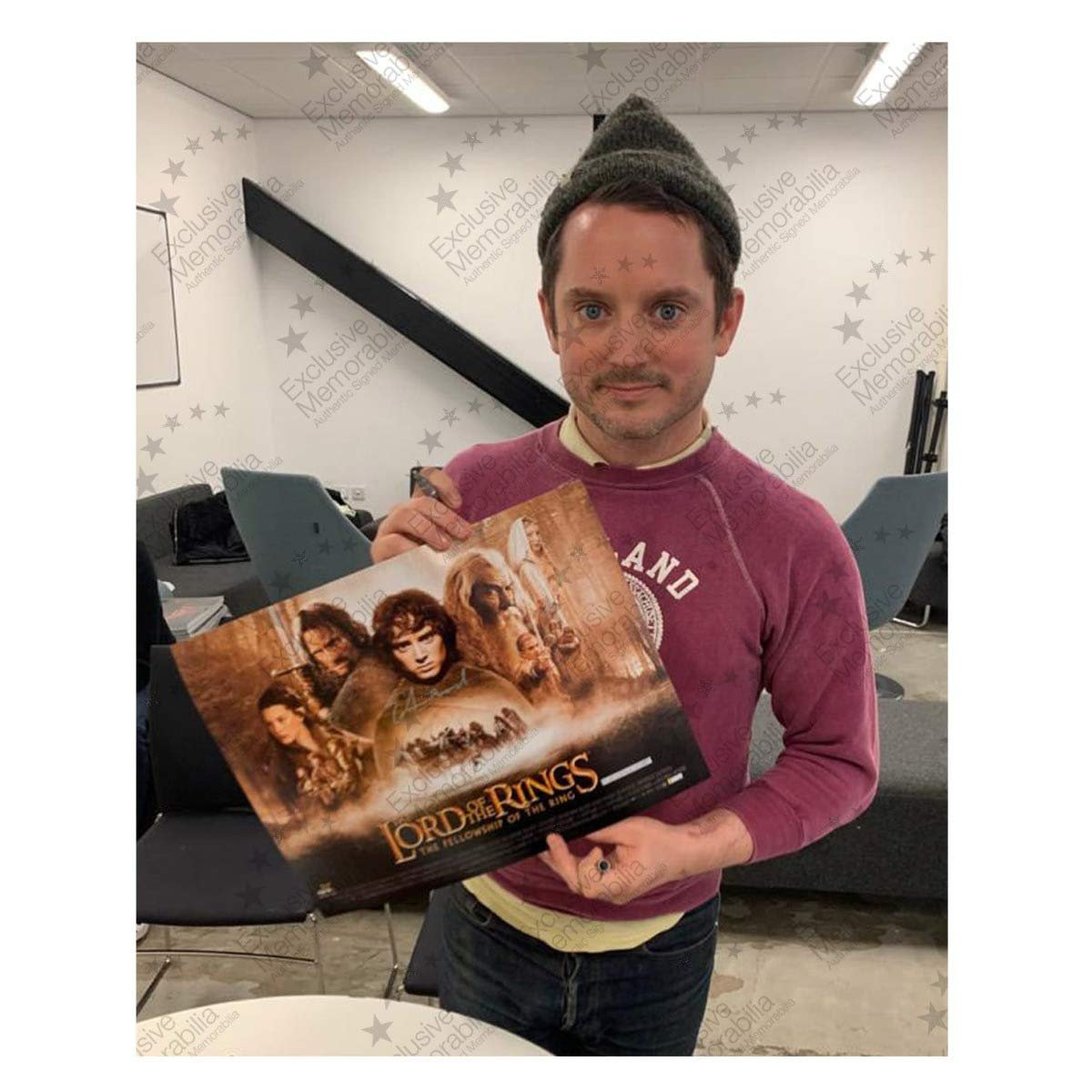 Elijah Wood Lord Of The Rings Poster The Lord Of The Rings: The Return