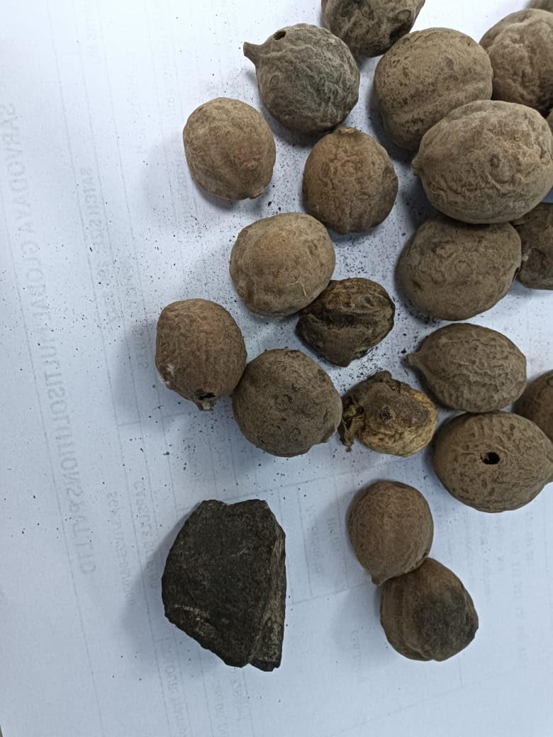 Iagrifarm Triphala Raw - 600 grams, Dry Amla (300g), Baheda (200g ...