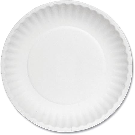 Amazon.com: AME D'ESSENCE (100 PACK-9") Disposable Paper Plates 9 ...