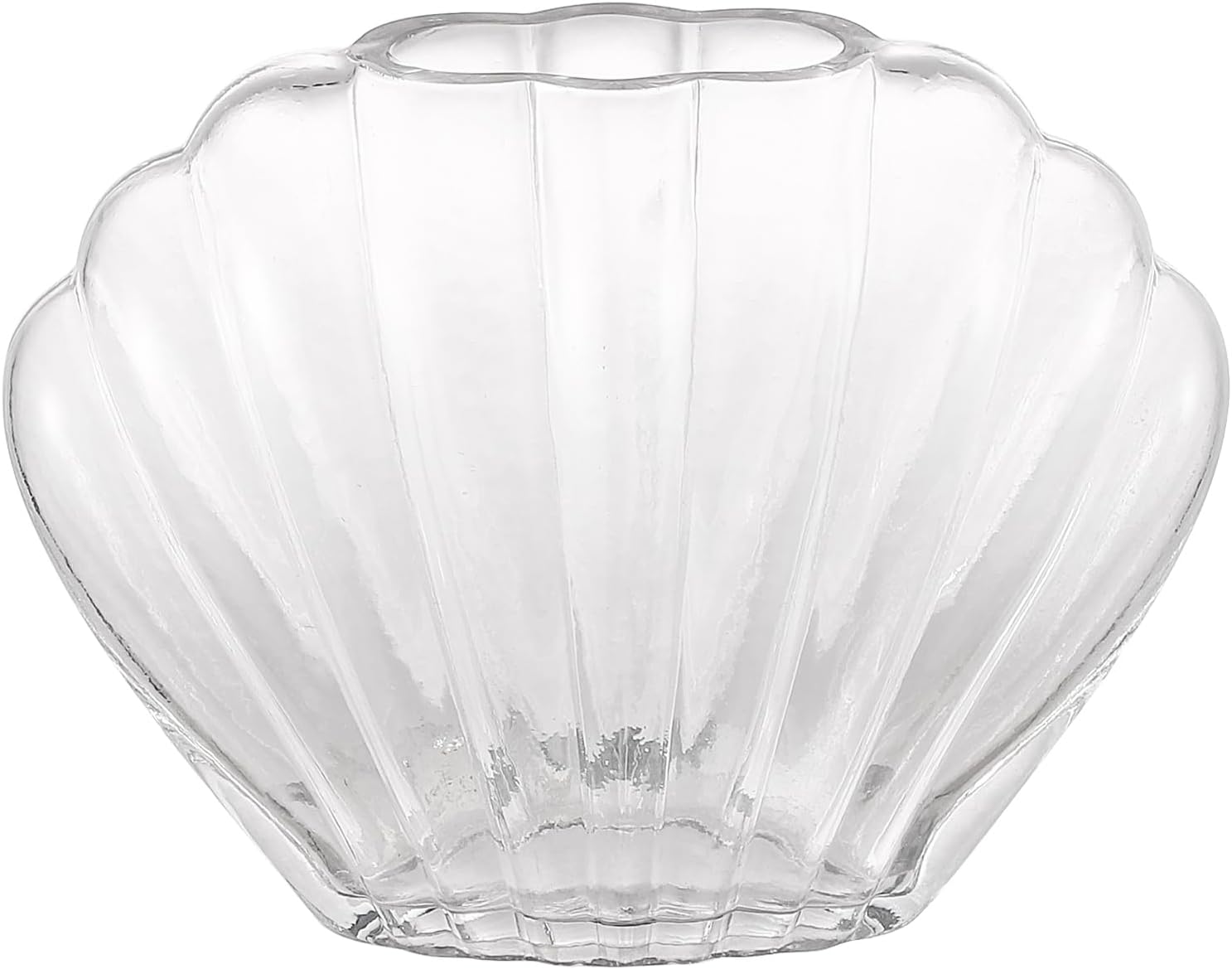 Amazon.com: Shell-Shaped Vases Set of 2 for Living Room Decor, Ceramic ...