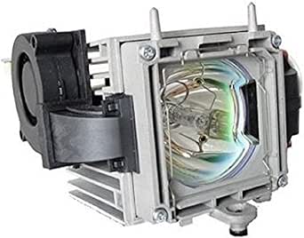 Amazon.com: Advanced Lamps™ Lamp & Housing for The Infocus Screenplay ...