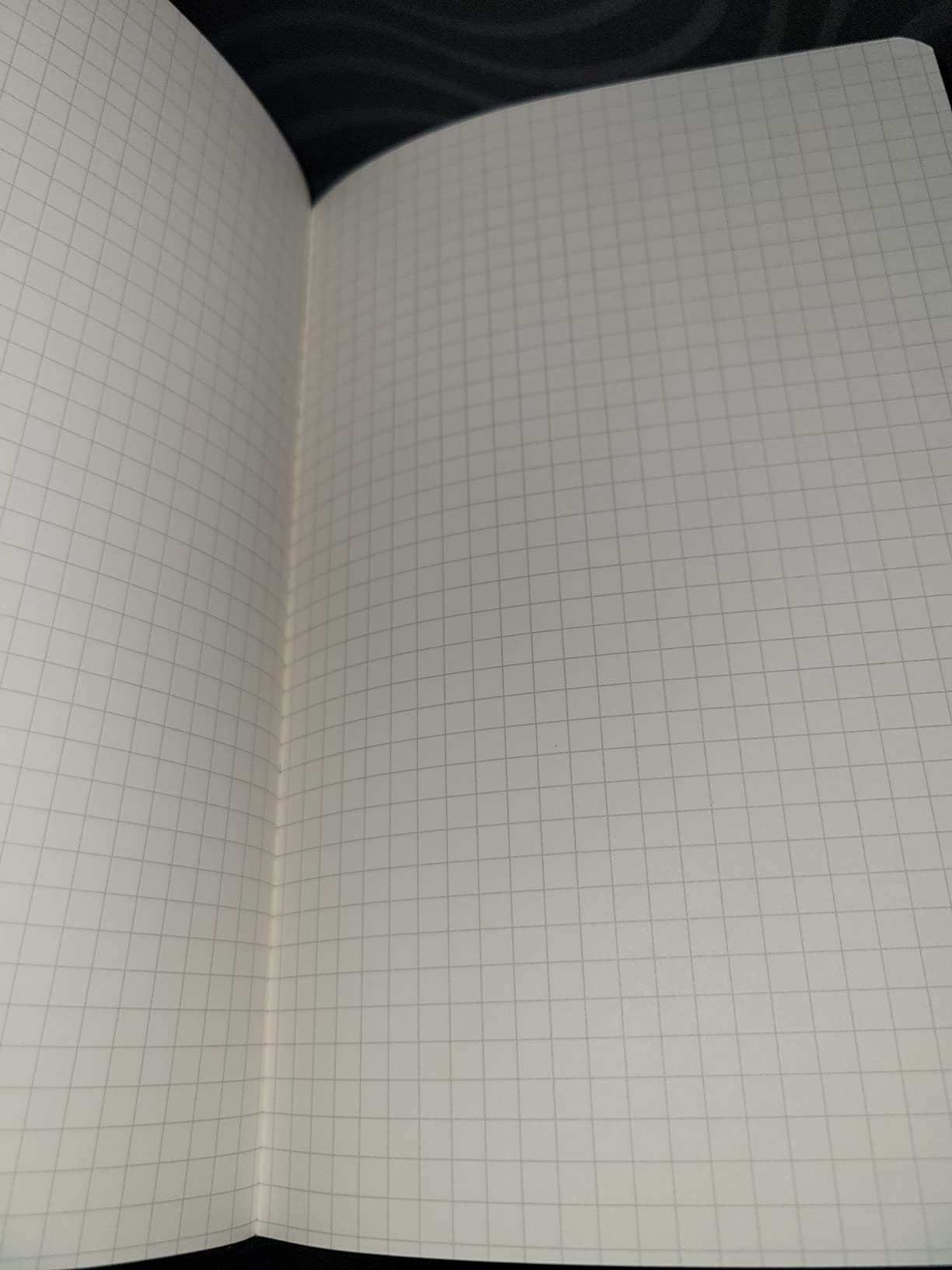 Essentials Grid-lined Notebook, Large, A5 Size (Journal, Diary): Peter ...