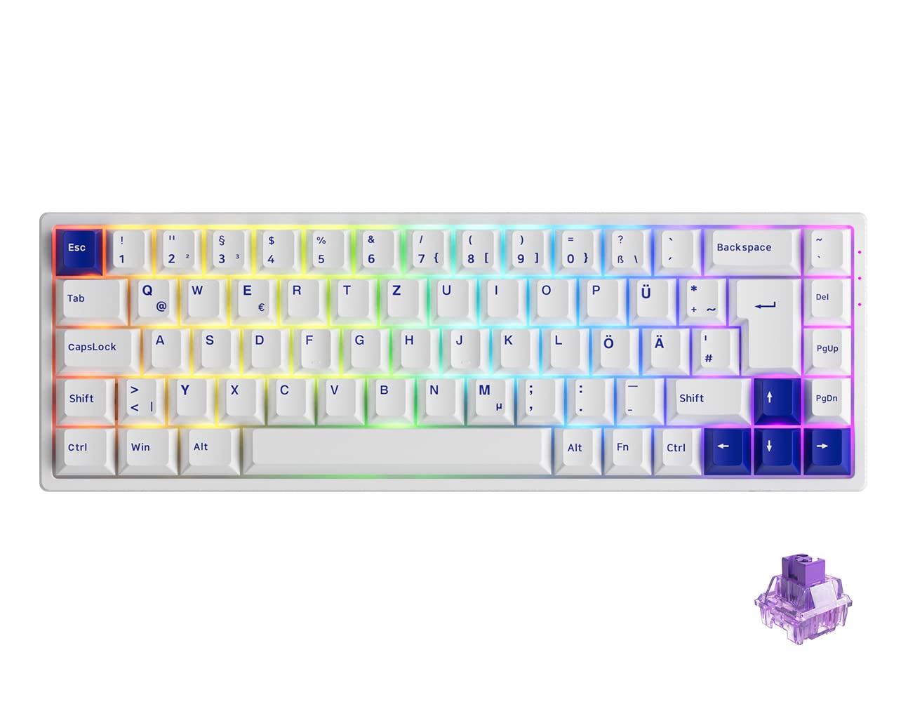 Buy Akko 3068 RGB Mechanical Gaming Keyboard ISO-DE Layout, Type C ...