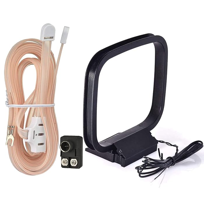 Buy Bingfu AM Loop Dipole 2 Pin Bare Wire Antenna with F-Type Balun 300 ...