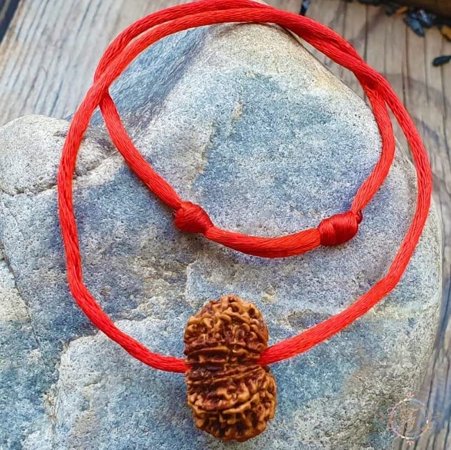 QUEEN-GEMS Traditionally Use 21 Mukhi Rudraksha Original Certified Real ...