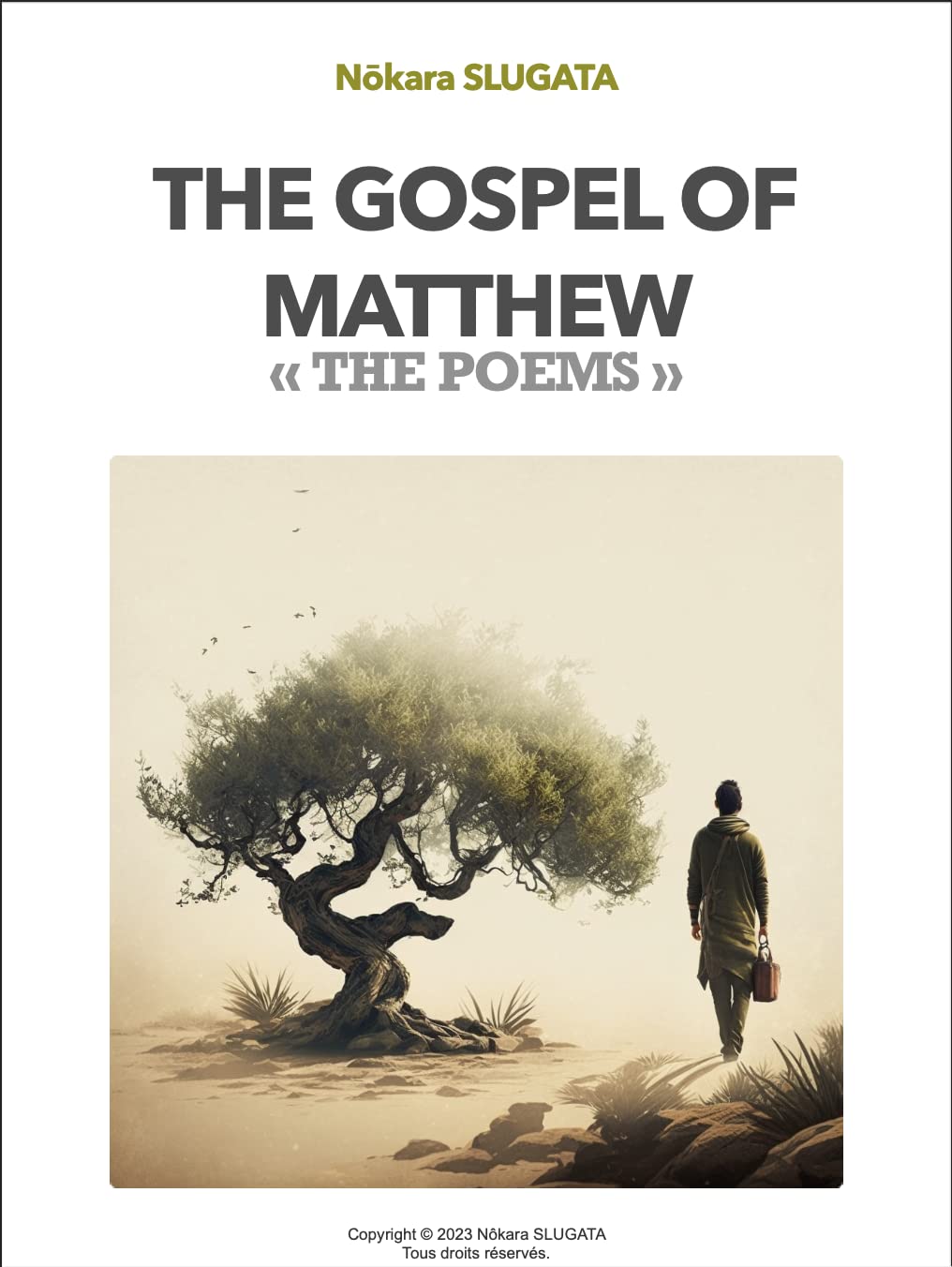 THE GOSPEL OF MATTHEW : " THE POEMS " : THE SUMMURY OF THE CHAPTER IN ...