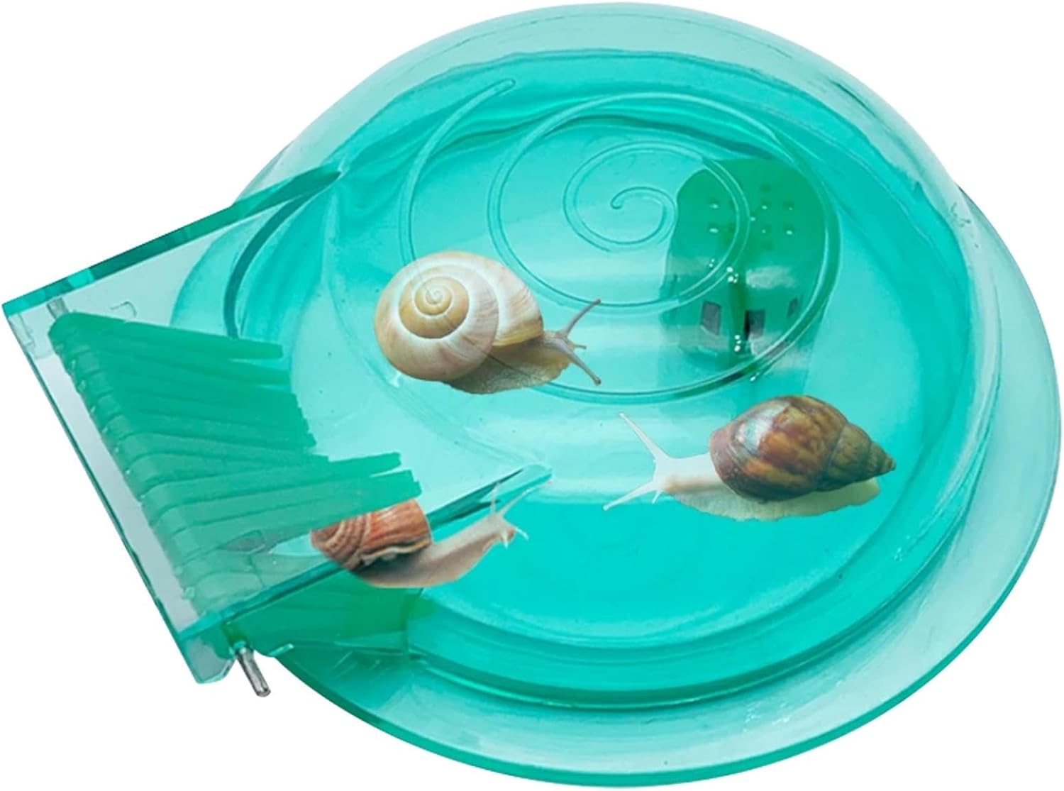 Amazon.com: Aquarium Snails Trap, Transparent Aquarium Snail Catcher ...