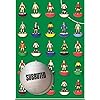 Tottenham Hotspur FC Wrapping Paper 2 Sheets 2 Tags, Spurs football ...
