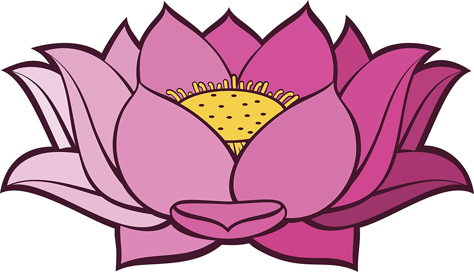 Lotus Flower Animation