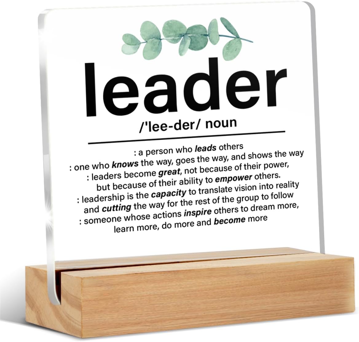 Amazon.com: Leader Gift for Women Men, Gifts for Leader Boss Mentor ...