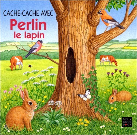 Amazon.com: Perlin le lapin: 9782013923231: unknown author: Books