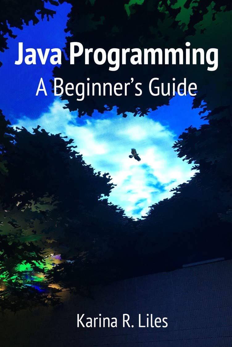 Amazon.com: Java Programming: A Beginner's Guide eBook : Liles, Karina ...