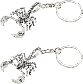 Ximimark 2 PCS Film Creative Antique Silver Scorpion King Key Chain ...