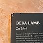 Beka Lamb: Zee Edgell: 9781478629412: Amazon.com: Books