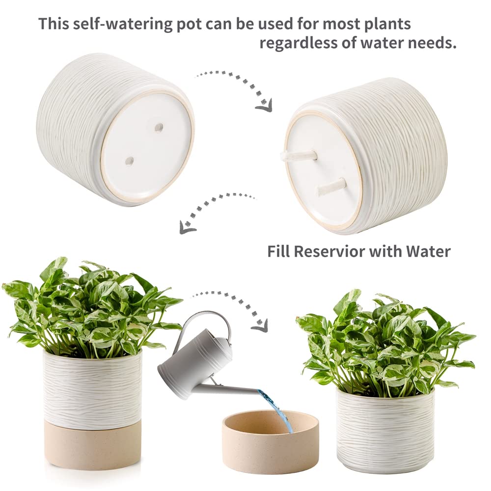 Underground Self Watering Pottery Amazon.com: GU GREENERY : UNLIMITED