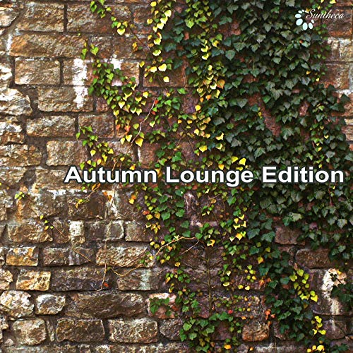 Play Autumn Lounge Edition by VARIOUS ARTISTS on Amazon Music