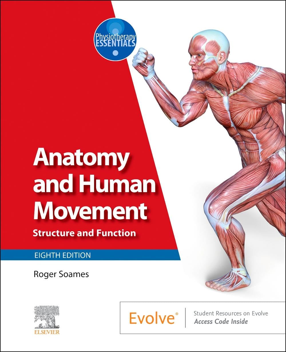 Amazon | Anatomy and Human Movement: Structure and Function ...