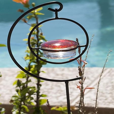 Amazon.com : Best Hummingbird Feeder Stand - Easy-to-Use & Plants in ...
