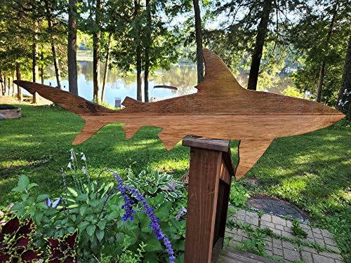 Amazon.com: Wood Shark Sign Large Wall Art 40" Shark Sign Beach Coastal ...