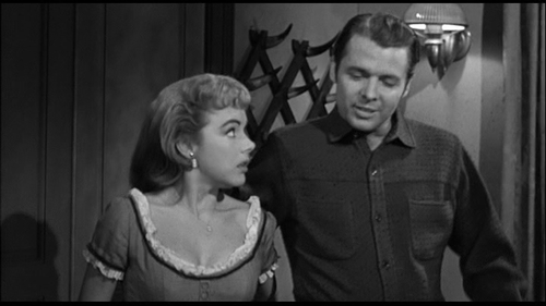 Amazon.com: Cast a Long Shadow : Audie Murphy, Terry Moore, John Dehner ...