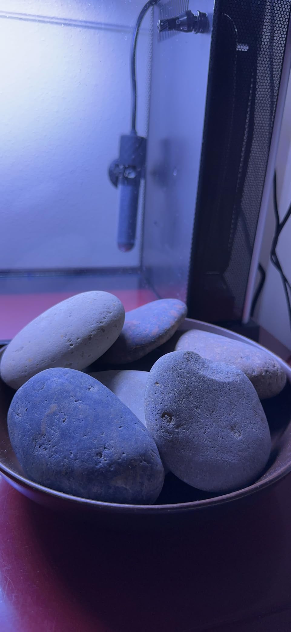 Amazon.com: 12 Extra-Large Rocks for Painting – Multi-Colored Craft ...