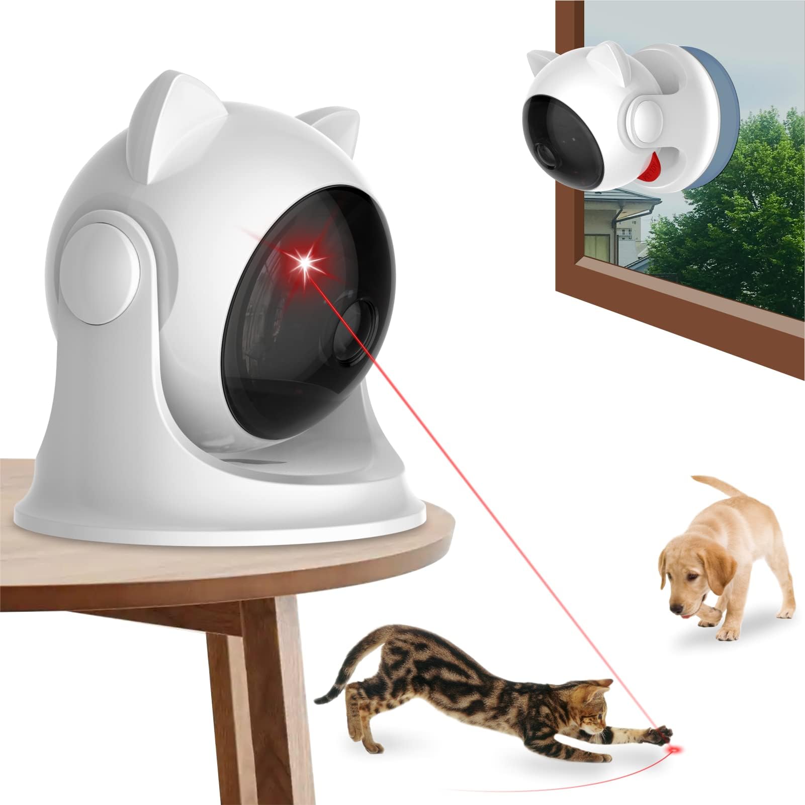 Amazon.com : Salodal Automatic Cat Laser Toy for Indoor Cats ...