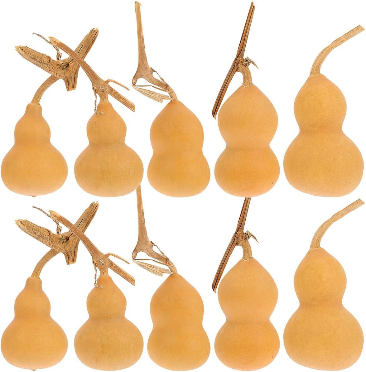 Amazon.com: Abaodam 10Pcs Natural Gourd Mini Gourd Gourds Dried Gourds ...