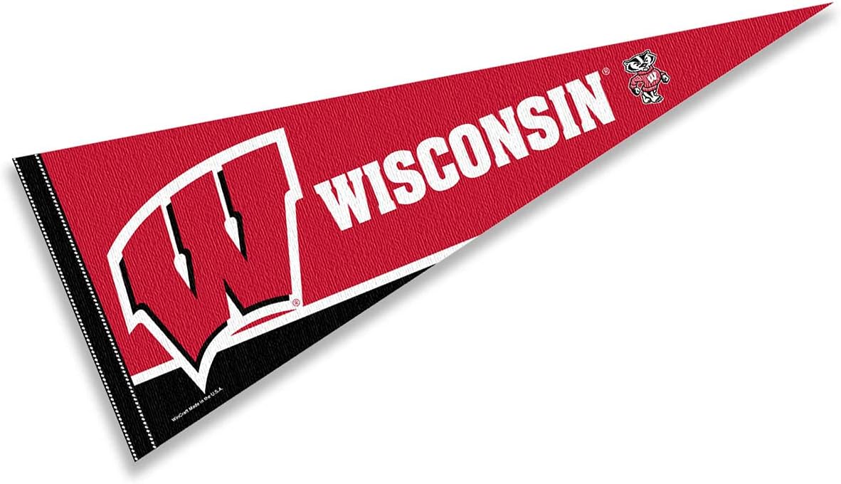 Amazon.com : Illinois Fighting Illini Full Size Pennant : Sports & Outdoors