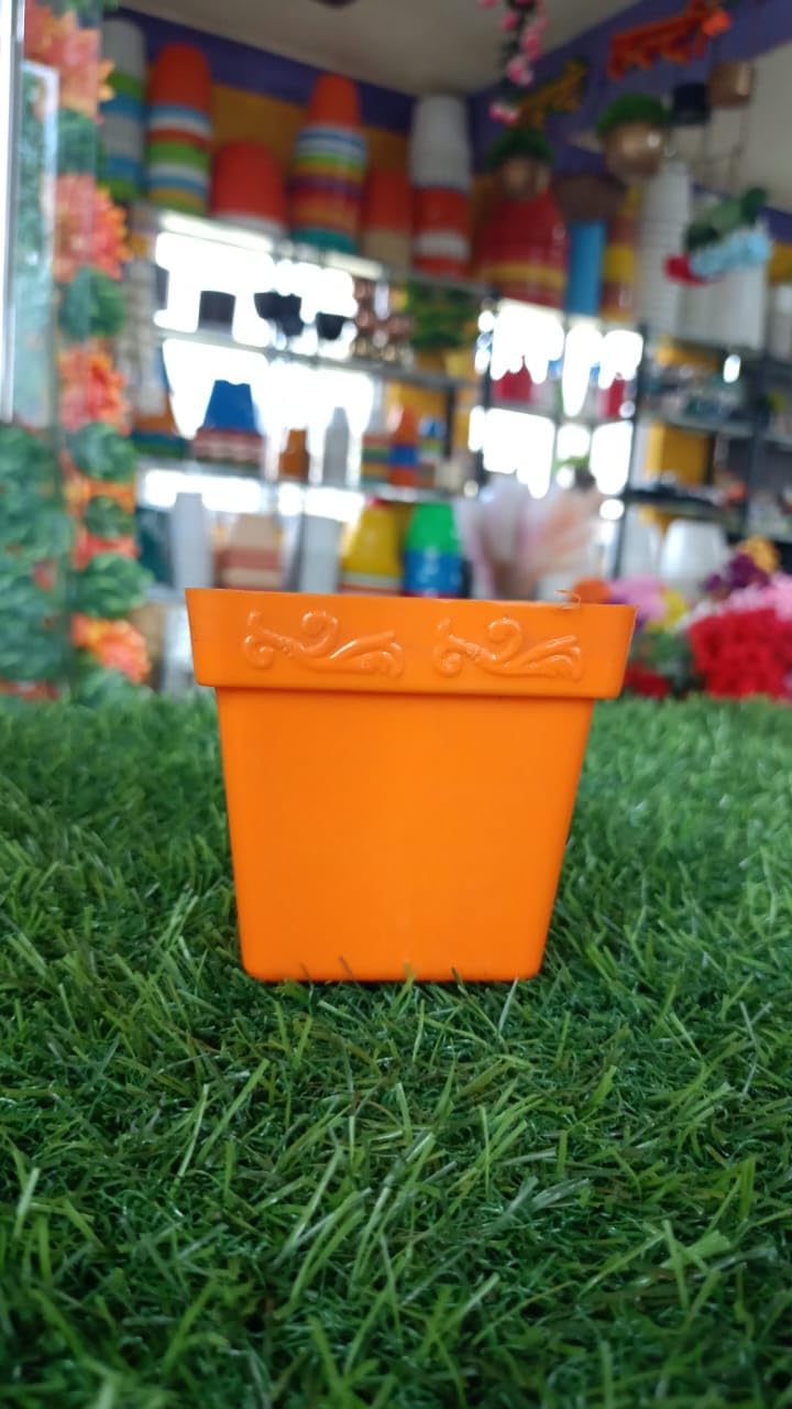 BAGWAN Nursery Nursery Seed Seedling Germinating Wonder Pots Plastic ...