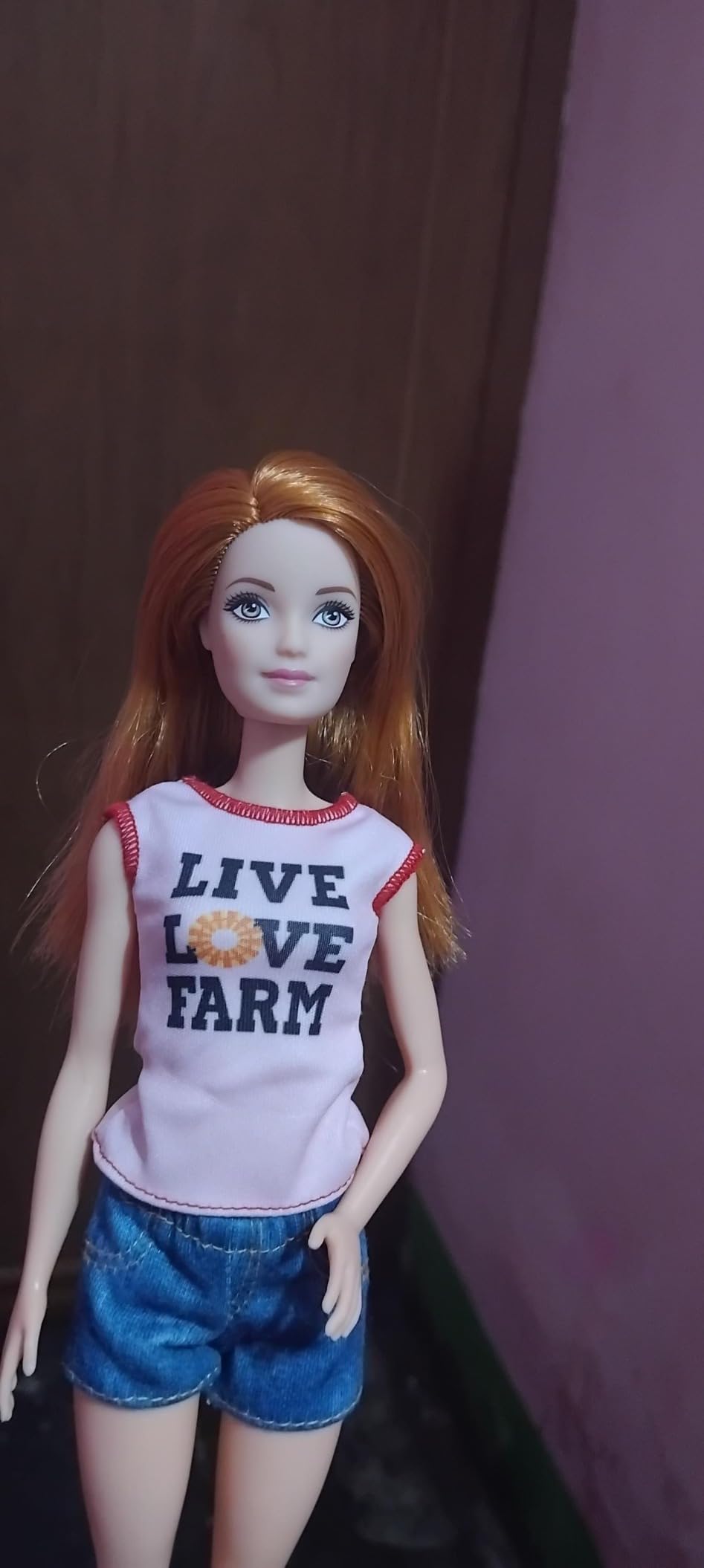 Barbie Chicken Farmer Doll, Red-Haired, and Playset with Henhouse, 3 ...