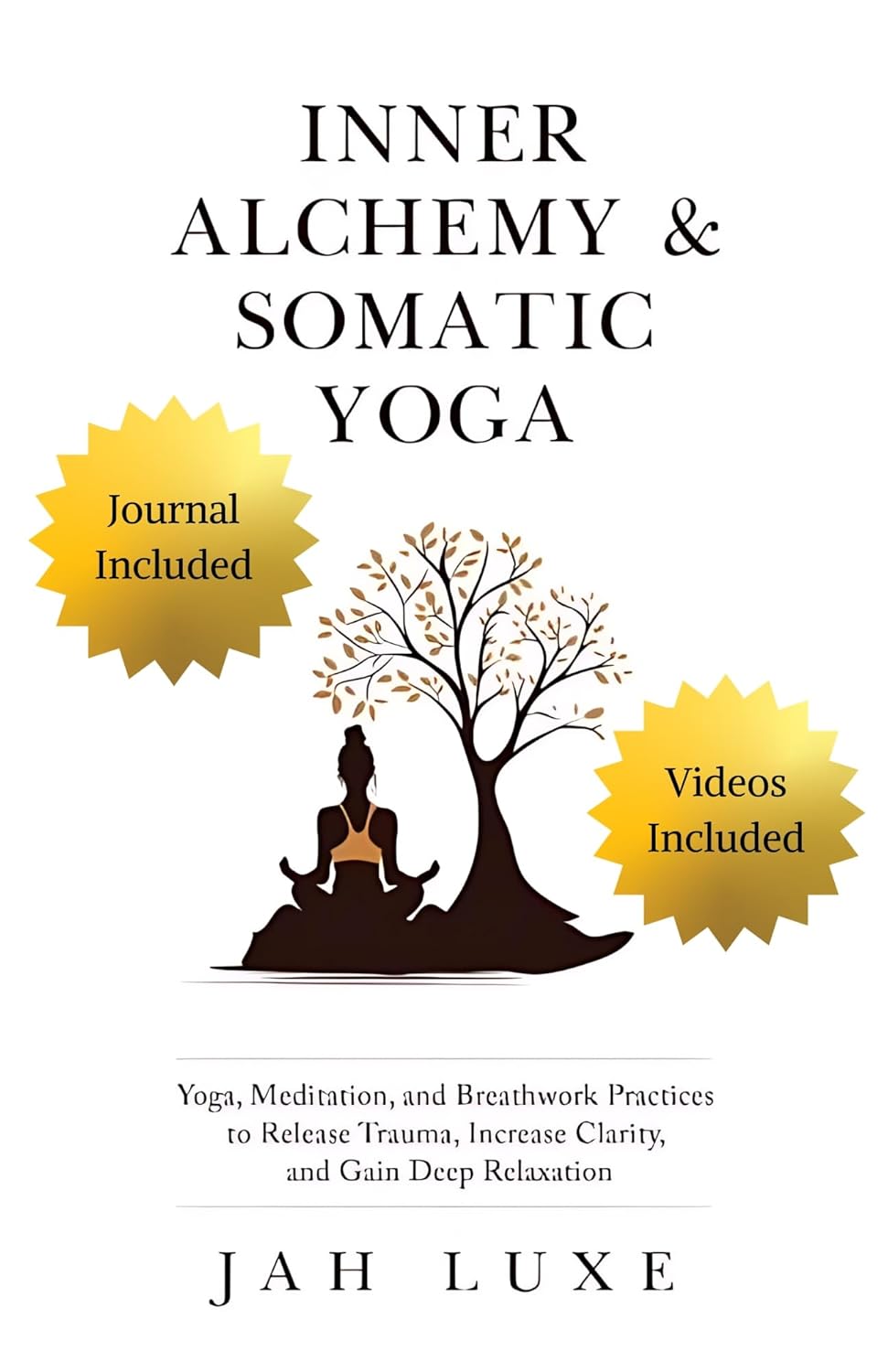 Amazon.com: Inner Alchemy and Somatic Exercise: Yoga, Meditation, and ...