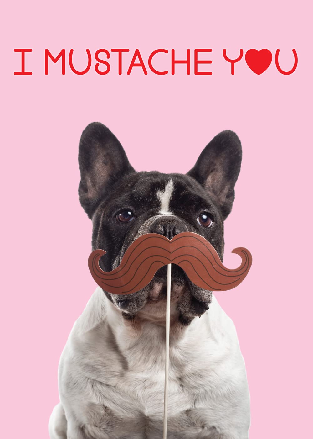 Dogs With Mustaches