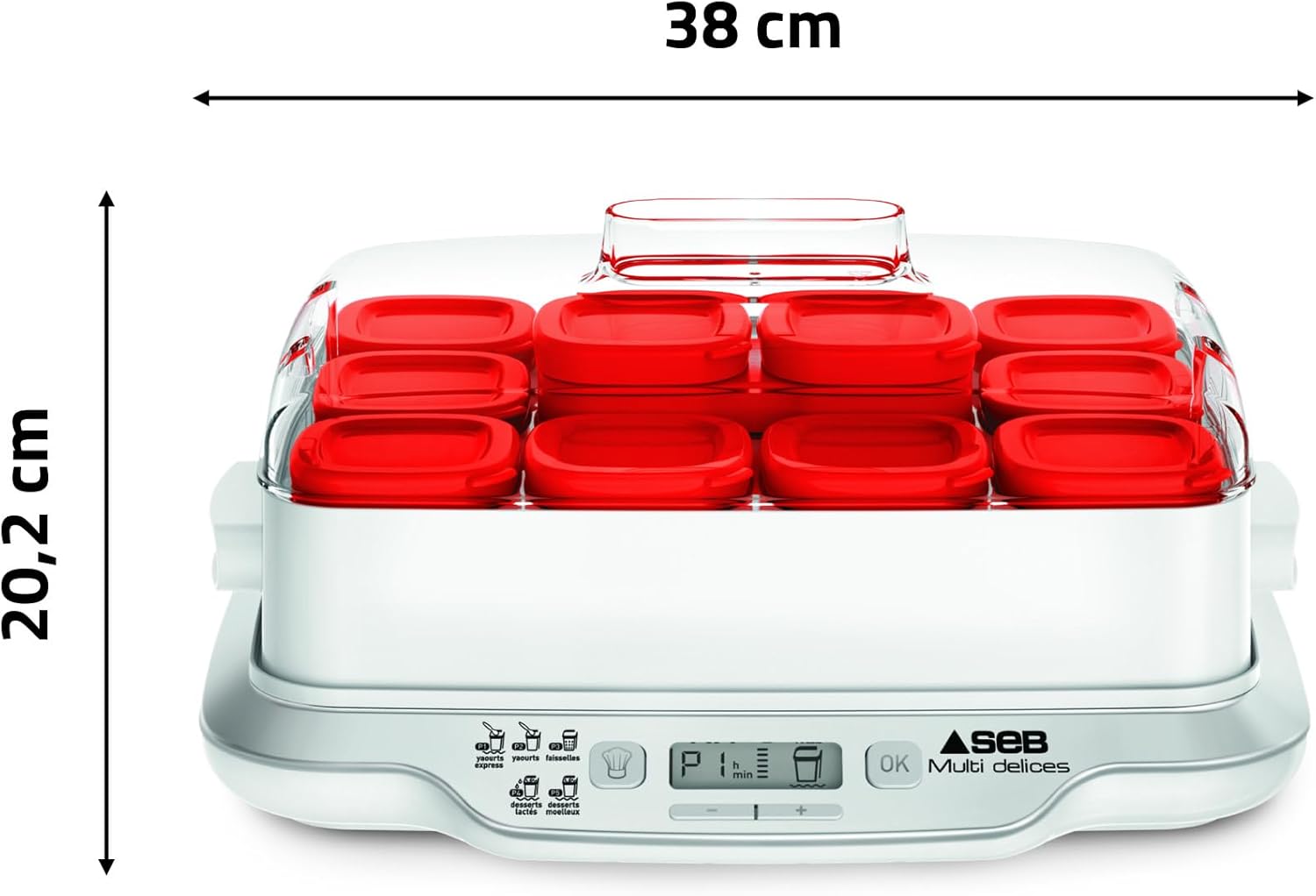 SEB Multi Délices Express YG661500 Yogurt Maker Instruction Manual