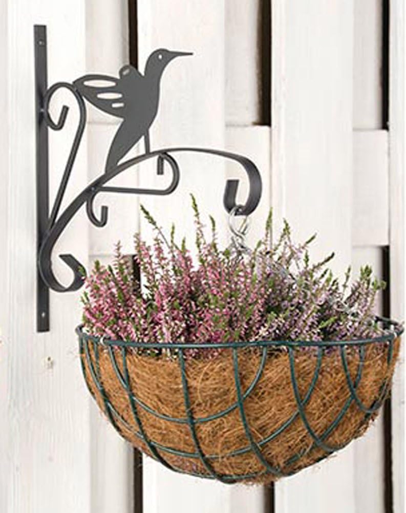 Amazon.com : Humming bird hanging basket bracket - holds upto 20 Inch ...