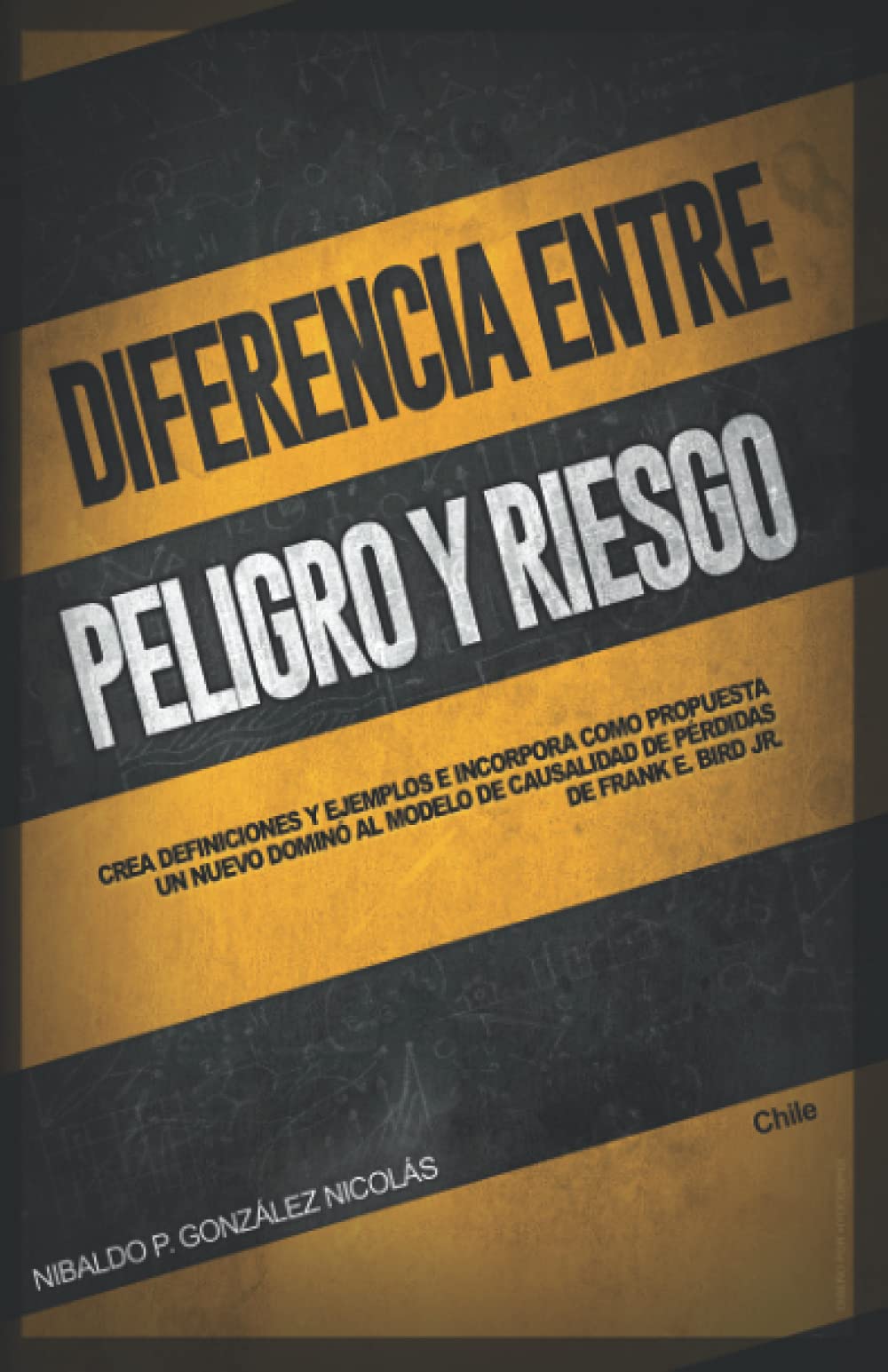 Buy DIFERENCIA ENTRE PELIGRO Y RIESGO Online at desertcartINDIA
