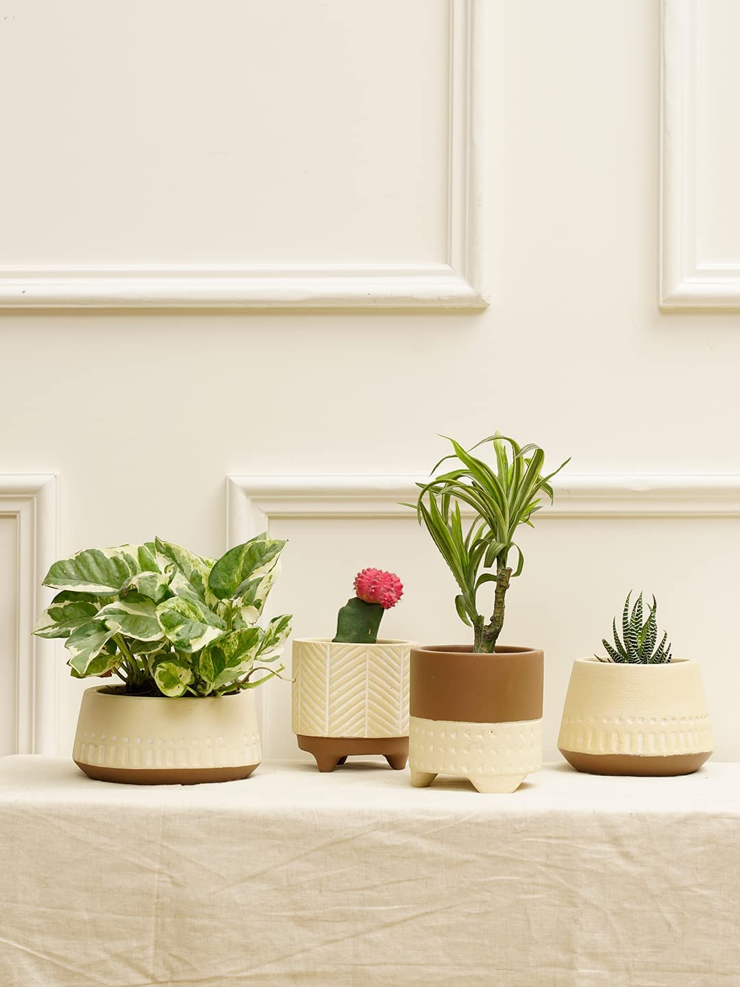 PUREZENTO Gardenia Terracotta Planters for Living Room, Garden ...