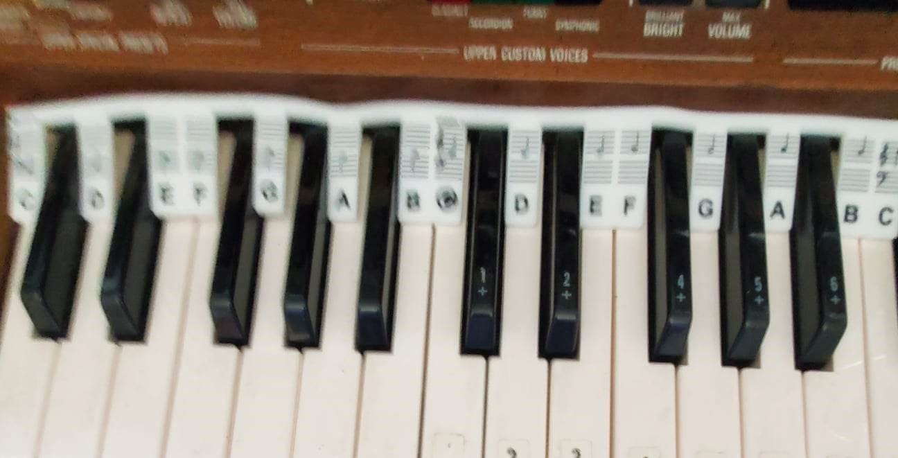 $3/mo - Finance Piano Notes Guide for Beginner, 88-Key Full Size ...