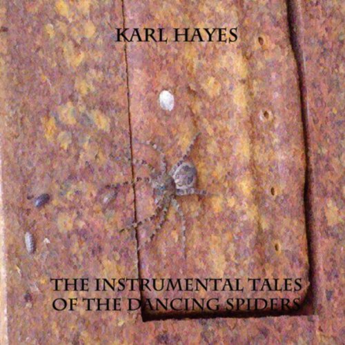 Amazon.com: The Instrumental Tales Of The Dancing Spiders : Karl Hayes ...