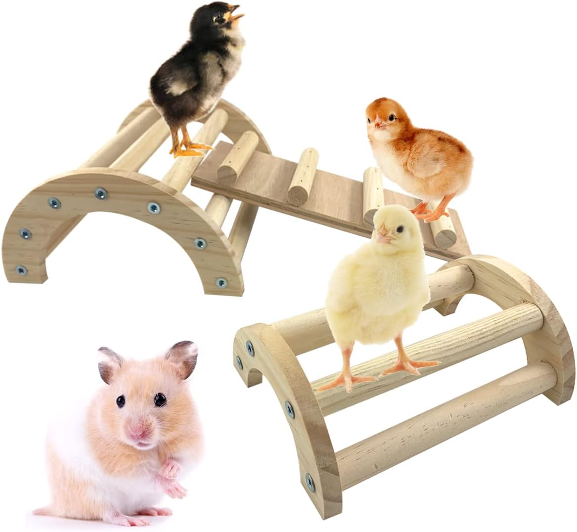 Amazon.com : CooShou Chicken Perch Roosting Bar Jungle Gym Wooden Arch ...