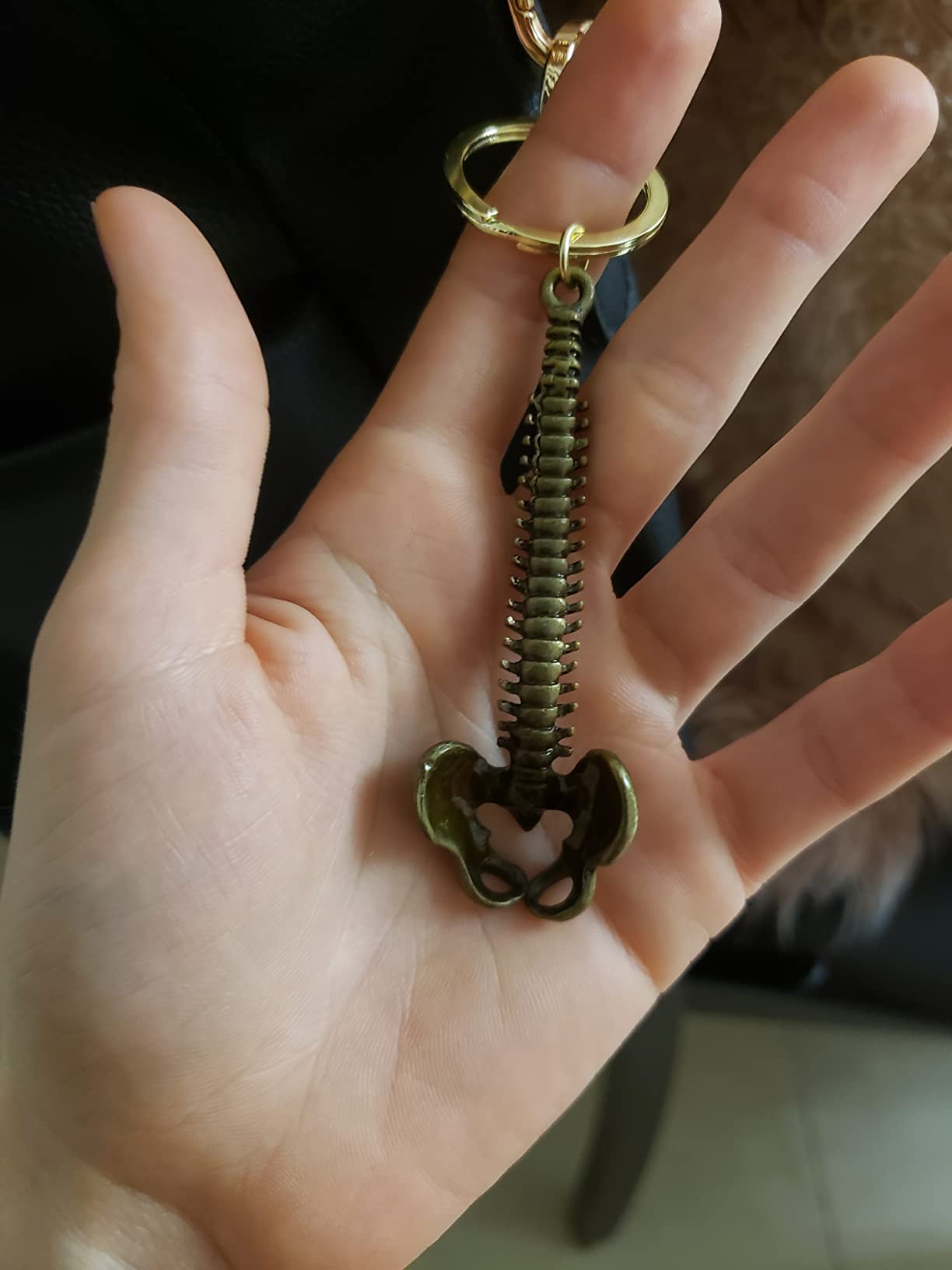 Amazon.com: Spine Keychain, Unique Anatomy Charm, Creative Chiropractic ...