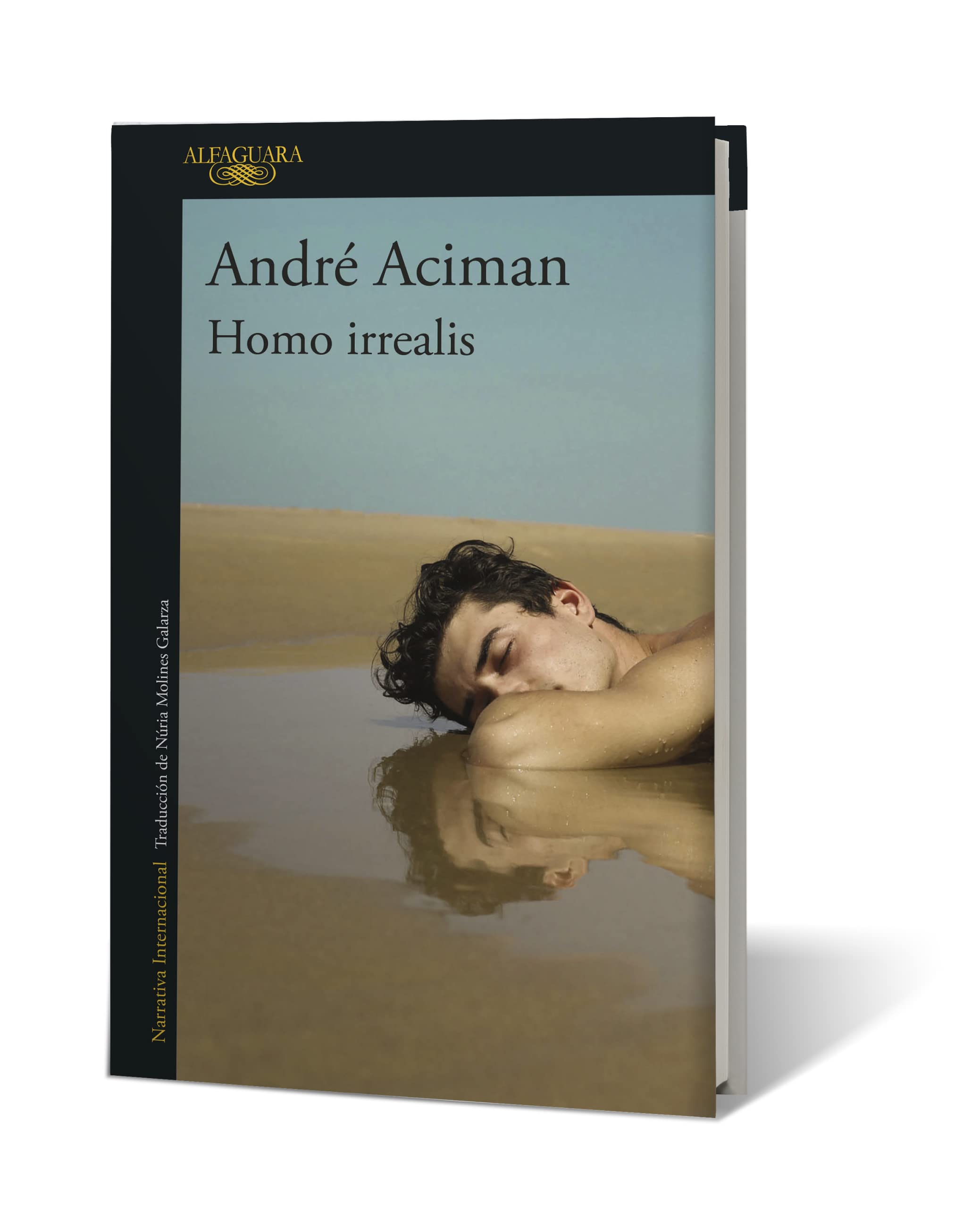 Homo Irrealis : Aciman, André: Amazon.com.mx: Libros