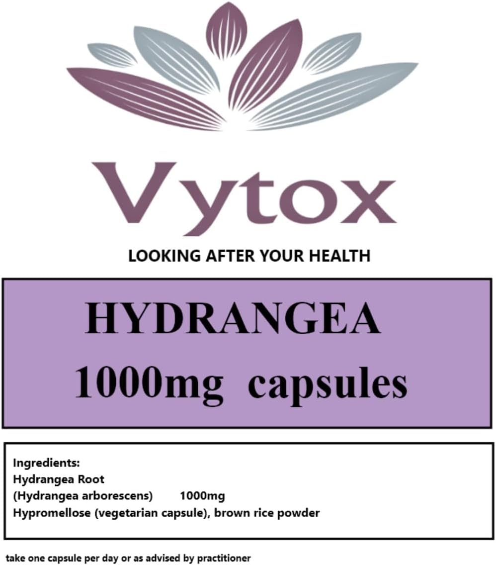 Hydrangea (1000mg) 240 Capsules. 8 Months Supply, by vytox, Vegetarian ...