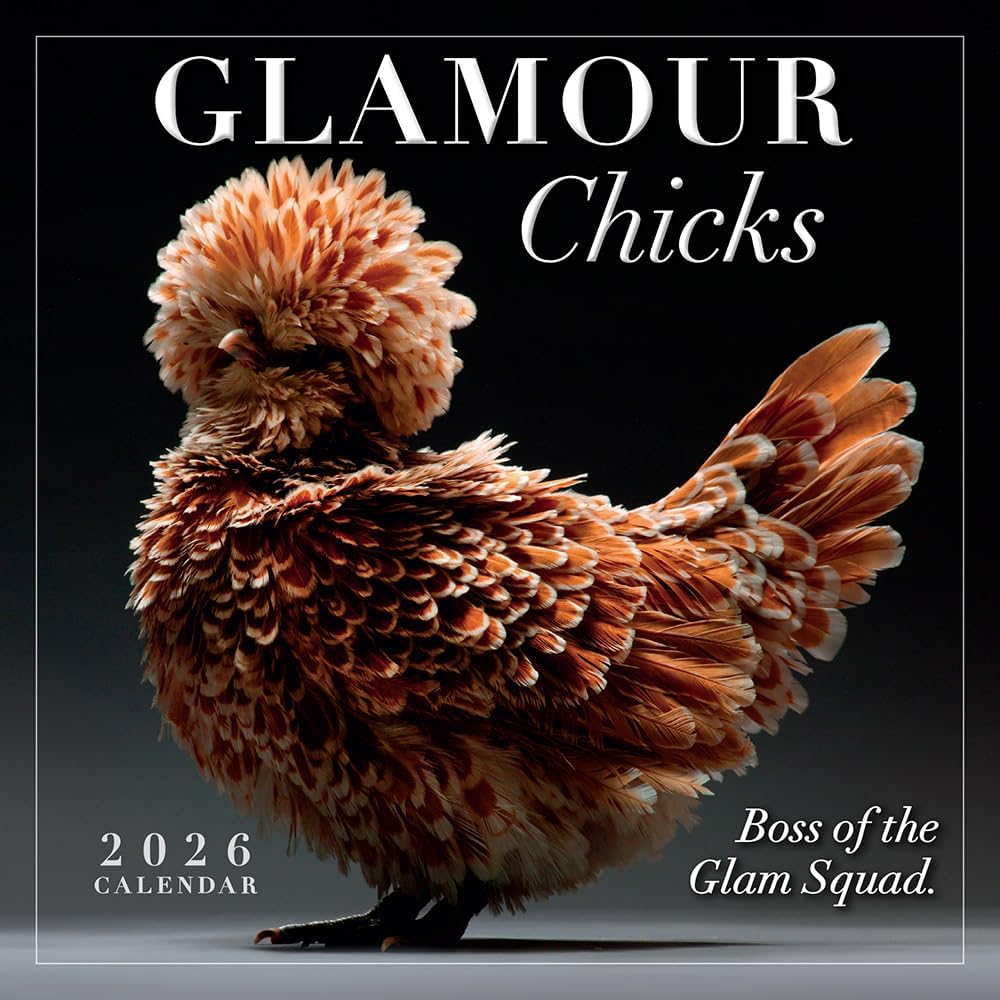 Glamour Chicks 2026 Mini Wall Calendar: Funny Chicken Photography ...