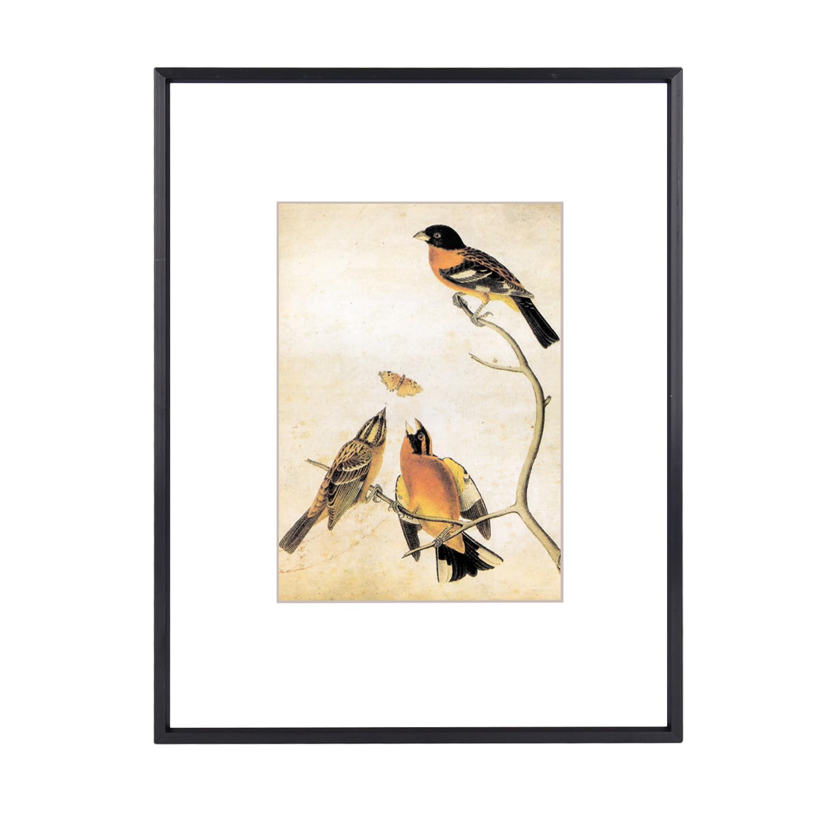 Amazon.com - BKABOT 11x14 Picture Frame, Black Metal Photo Frames with ...