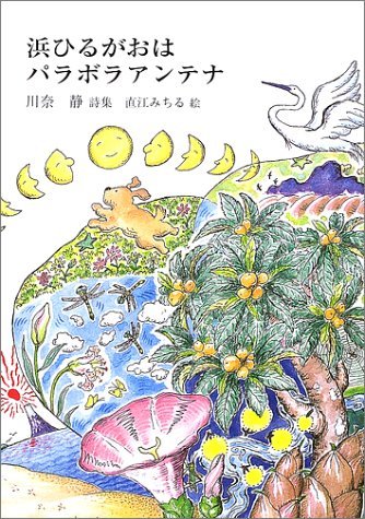 Parabolic antenna beach bindweed is - Kawana static collection of poems ...