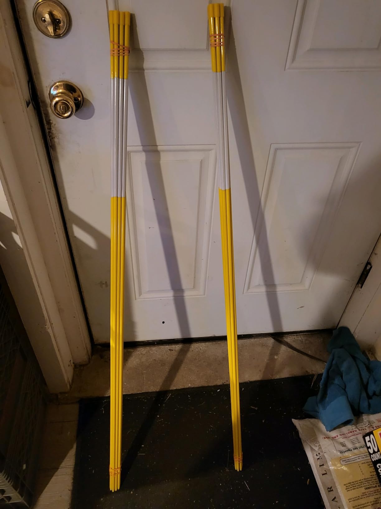 Amazon.com : 4ft Pro Snow Stakes - 48" x 5/16" Driveway Markers ...